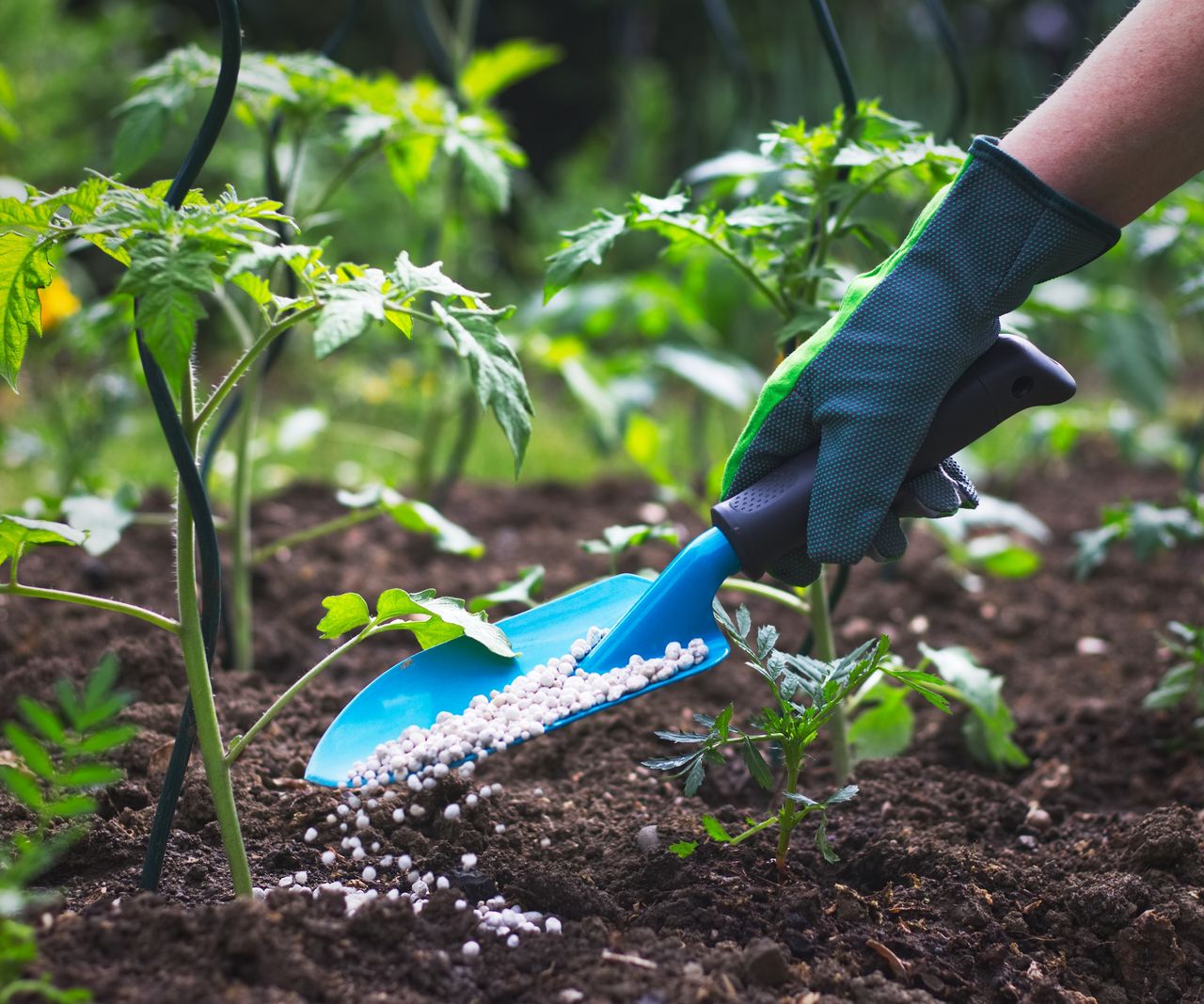 Plant fertilizer numbers: NPK ratios explained | Homes and Gardens
