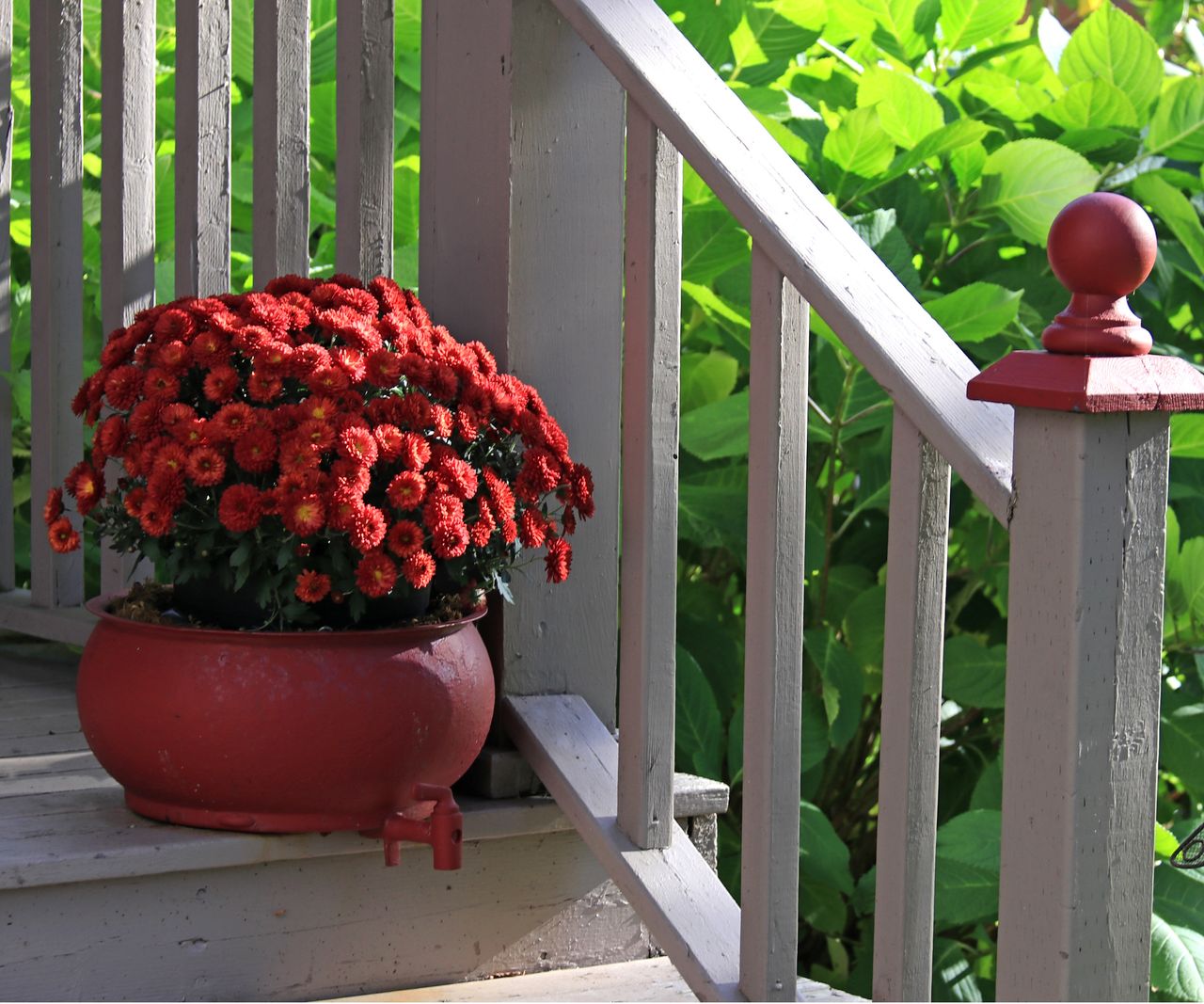 How to spruce up spring containers for summer: 5 ideas | Homes and Gardens