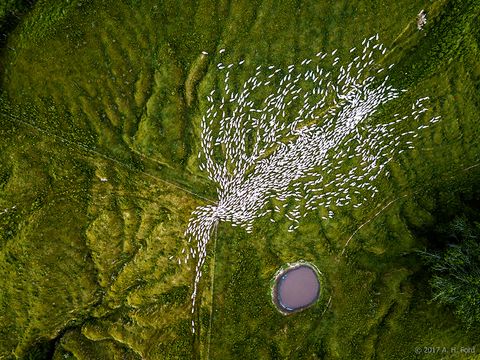 5 wildlife and nature photography tips | Digital Camera World