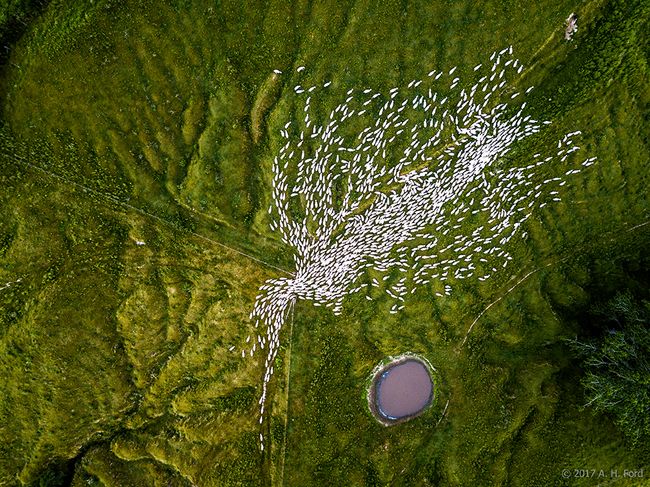 5 wildlife and nature photography tips | Digital Camera World