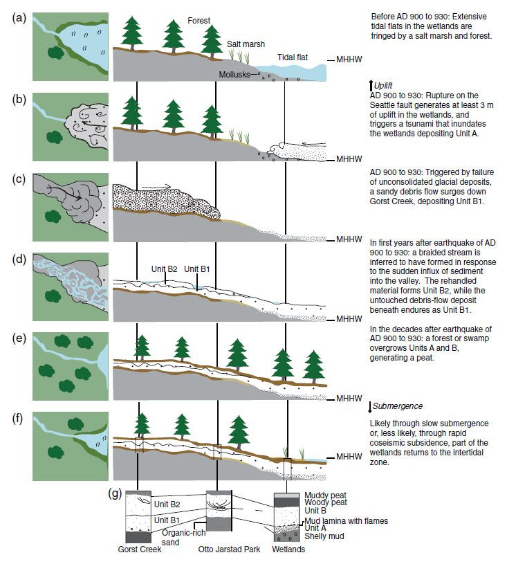 Seattle Fault Bigger Quake Threat Than Thought | Live Science
