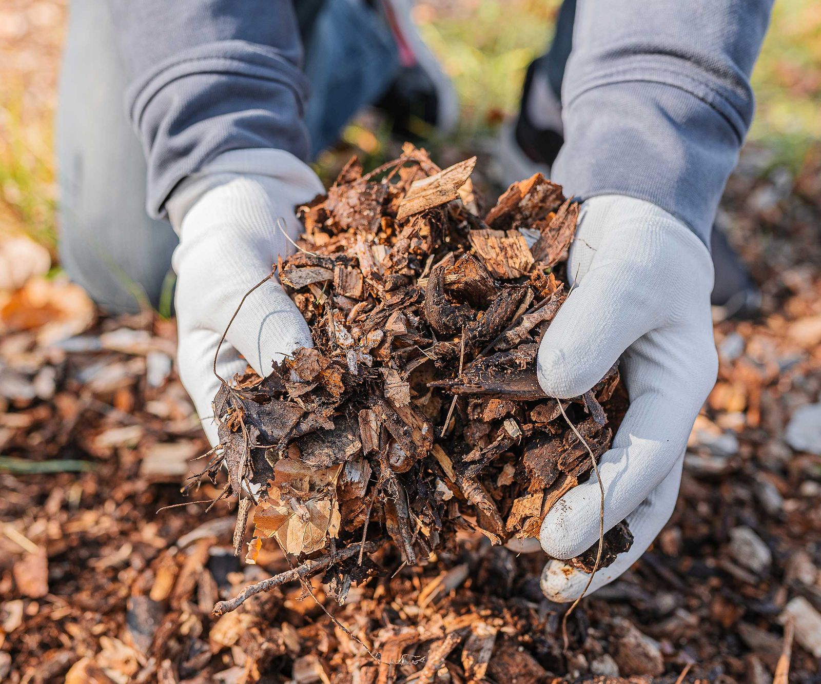 US hardiness zone 4: expert advice on gardening in zone 4 | Homes and ...