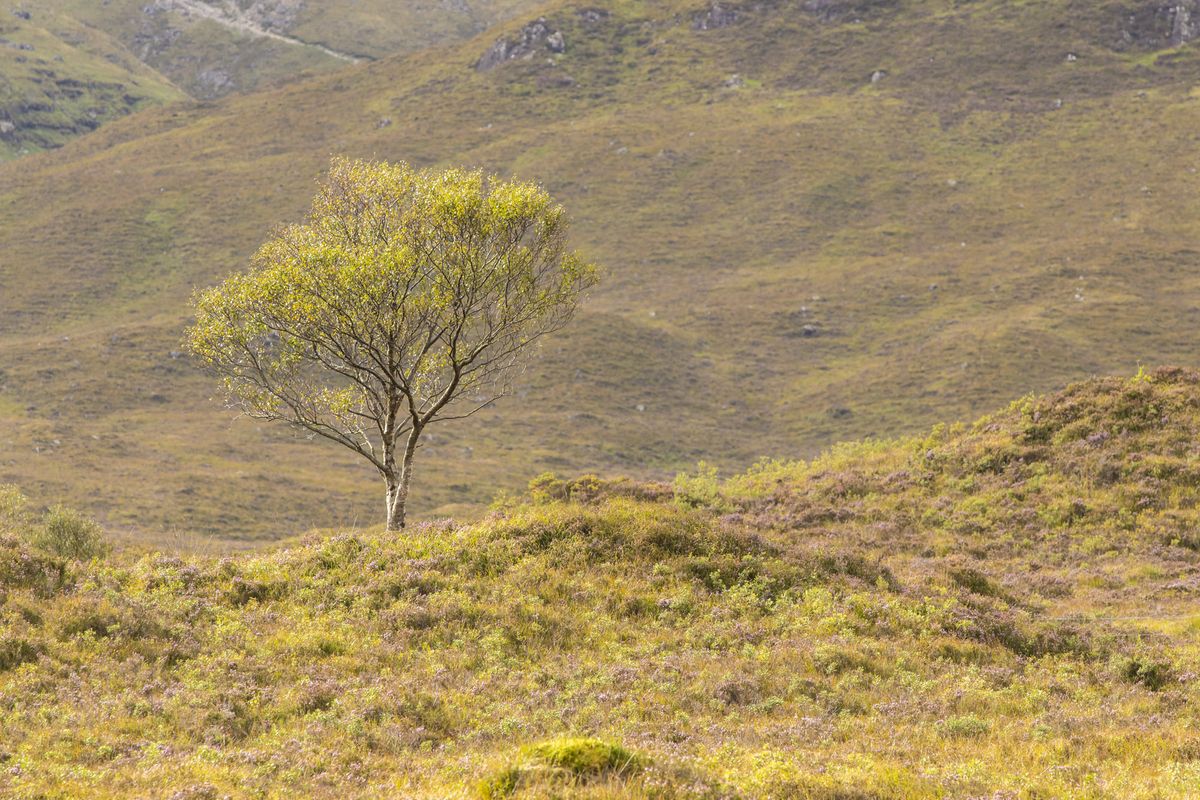 10 tips for stunning landscapes: take incredible scenic shots with your ...