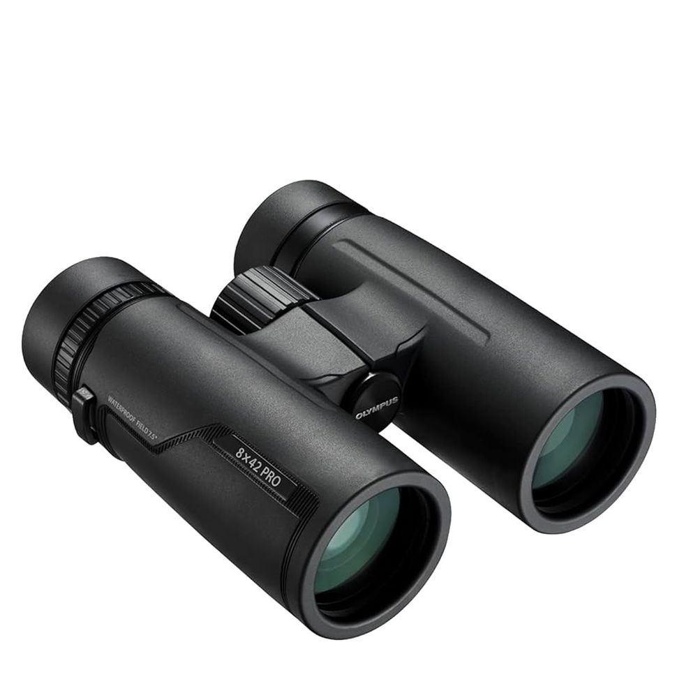 Best binoculars 2025: Our picks for stargazing, bird watching and ...
