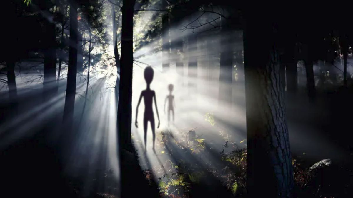 Aliens ‘to invade amid meteor shower’ | The Week
