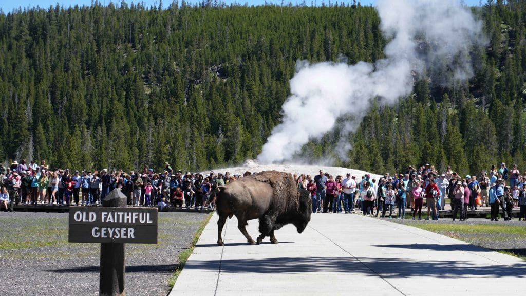 Ranger reflects on 150 years of Yellowstone: Life at the park is 'never ...