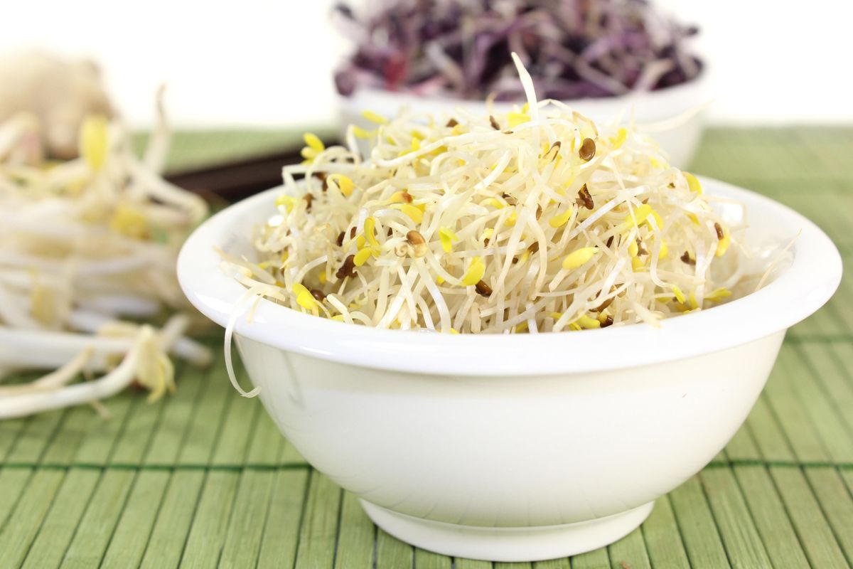 How to grow alfalfa sprouts: for fresh, tasty salads and garnish ...