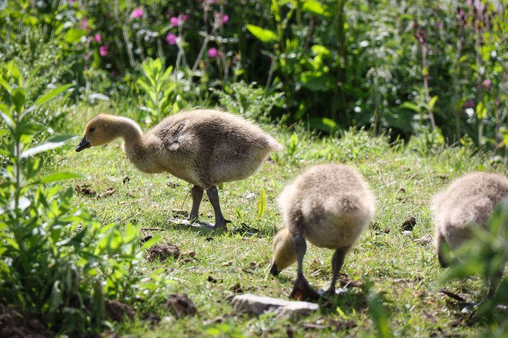 Canon EOS R7 sample gallery: real-world photos with Canon's new camera ...