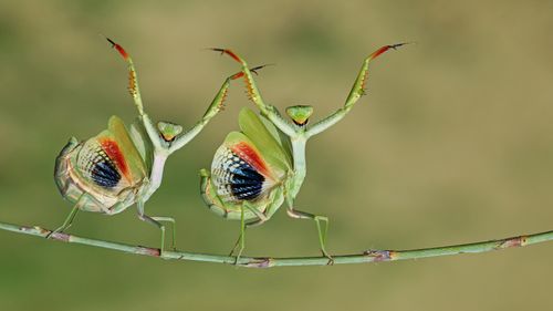 These are the best photography awards to enter in 2025, ranked by ...