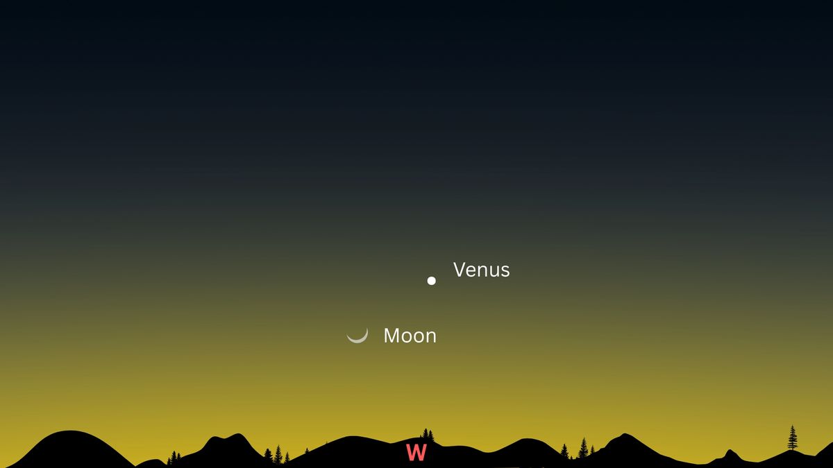 Venus shines at its best in spring and summer 2026 — here's what to ...