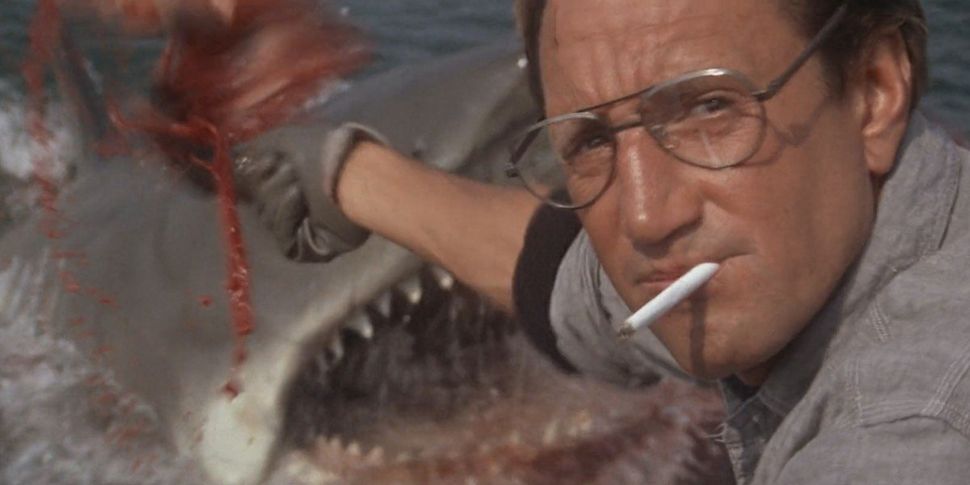12 Jaws Behind-The-Scenes Facts You Might Not Know | Cinemablend