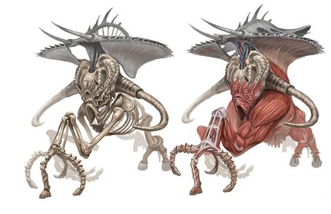 17 ways to draw better creatures | Creative Bloq