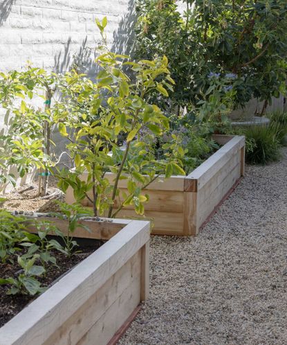How to make the most of a side yard: experts share ideas | Homes and ...
