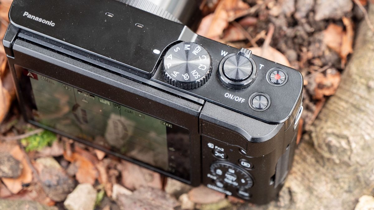 Panasonic Lumix ZS99 / TZ99 review: a 30x zoom pocket camera for your ...