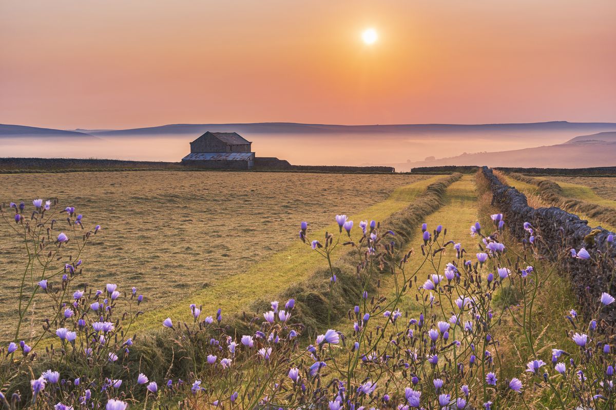 The hottest summer, the fastest car, and (gulp) the start of spider ...