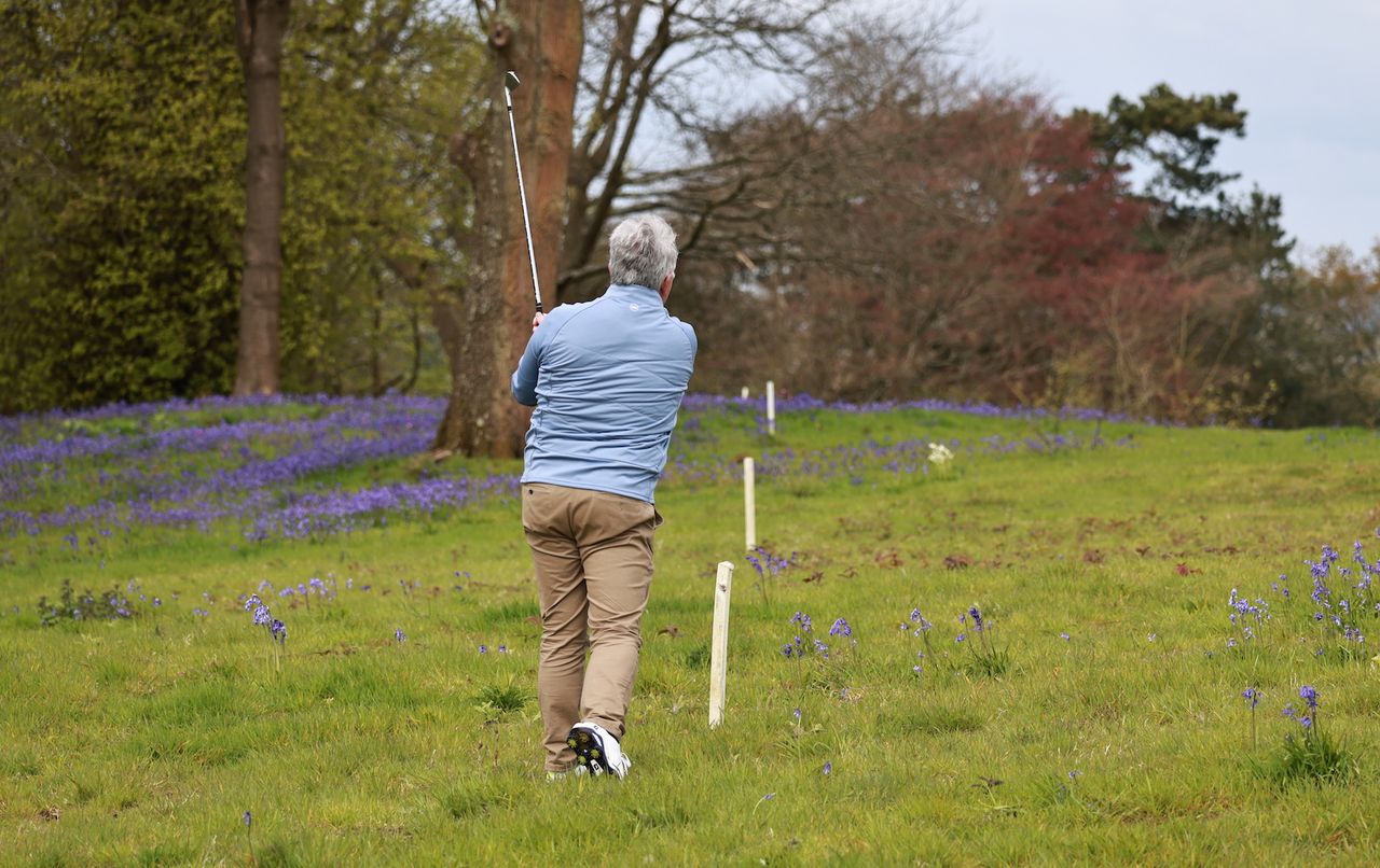 Can You Move Stakes On The Golf Course Without Penalty? | Golf Monthly
