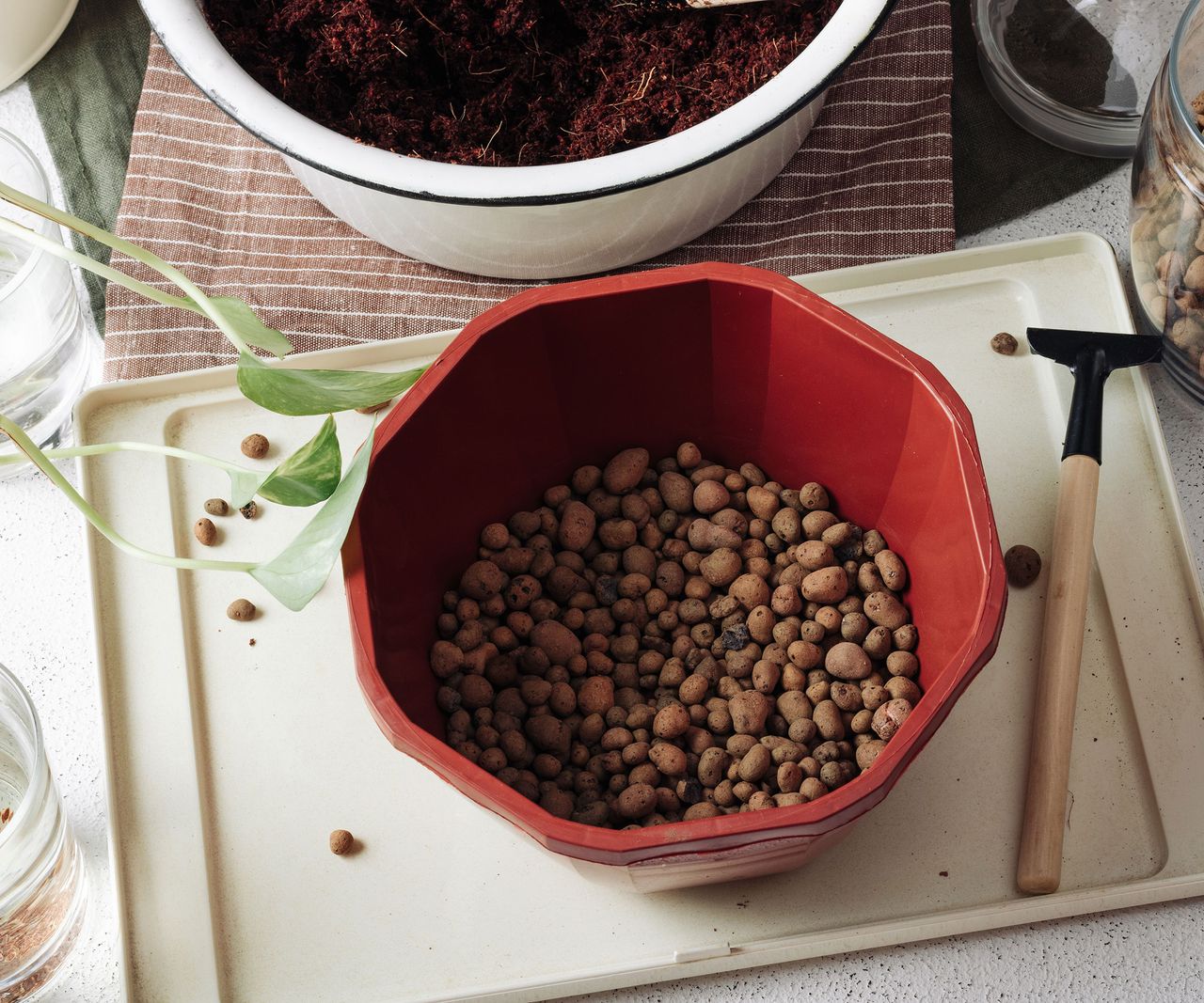 Why To Put A Coffee Filter In The Bottom Of Your Plant Pot | Gardening ...