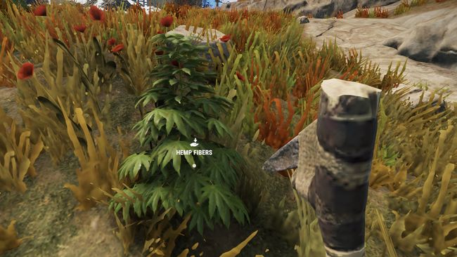 Rust Tips - a starting guide for beginner players | GamesRadar+