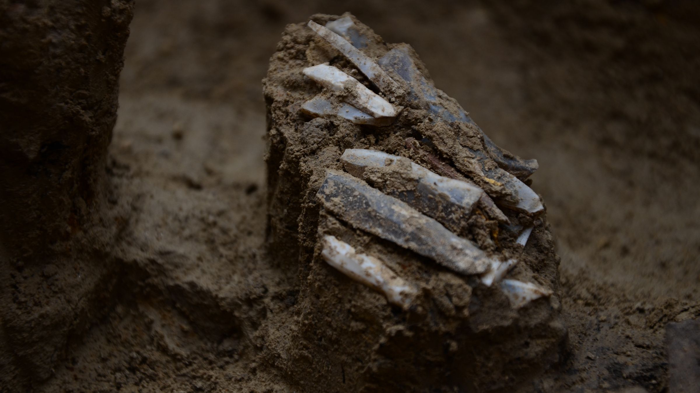 30,000-year-old 'toolkit' found in Czech Republic reveals 'very rare ...
