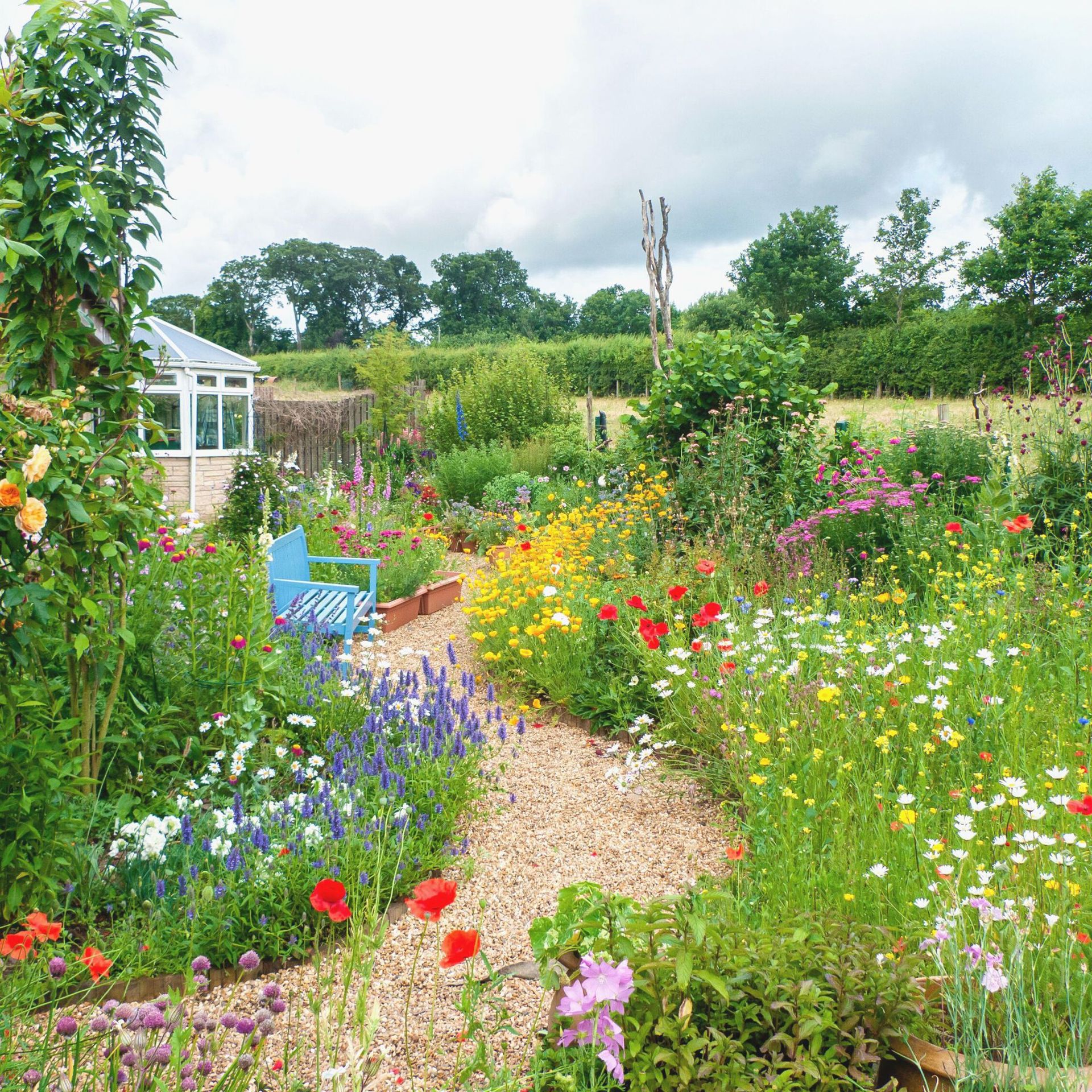 Wildflower garden ideas - clever pollinator planting for every garden ...