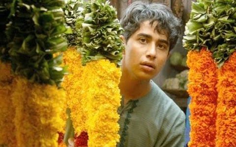 9 Big Differences Between The Life Of Pi Movie And Book | Cinemablend