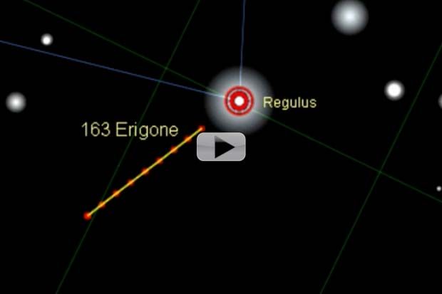 Photos and Images: Asteroid 163 Erigone Eclipses Bright Star in Rare ...