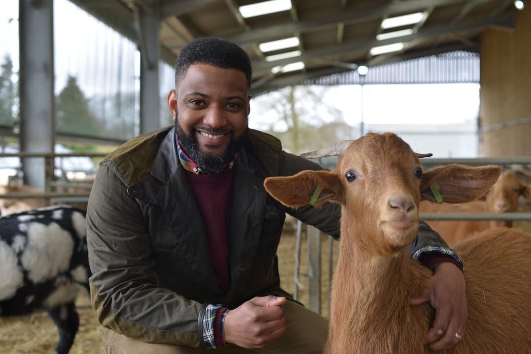 Springtime On The Farm 2022: everything we know | What to Watch