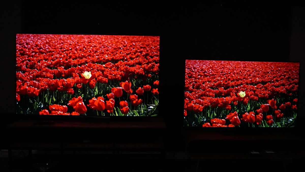 What's the difference between a cheap and premium OLED TV? You might be ...