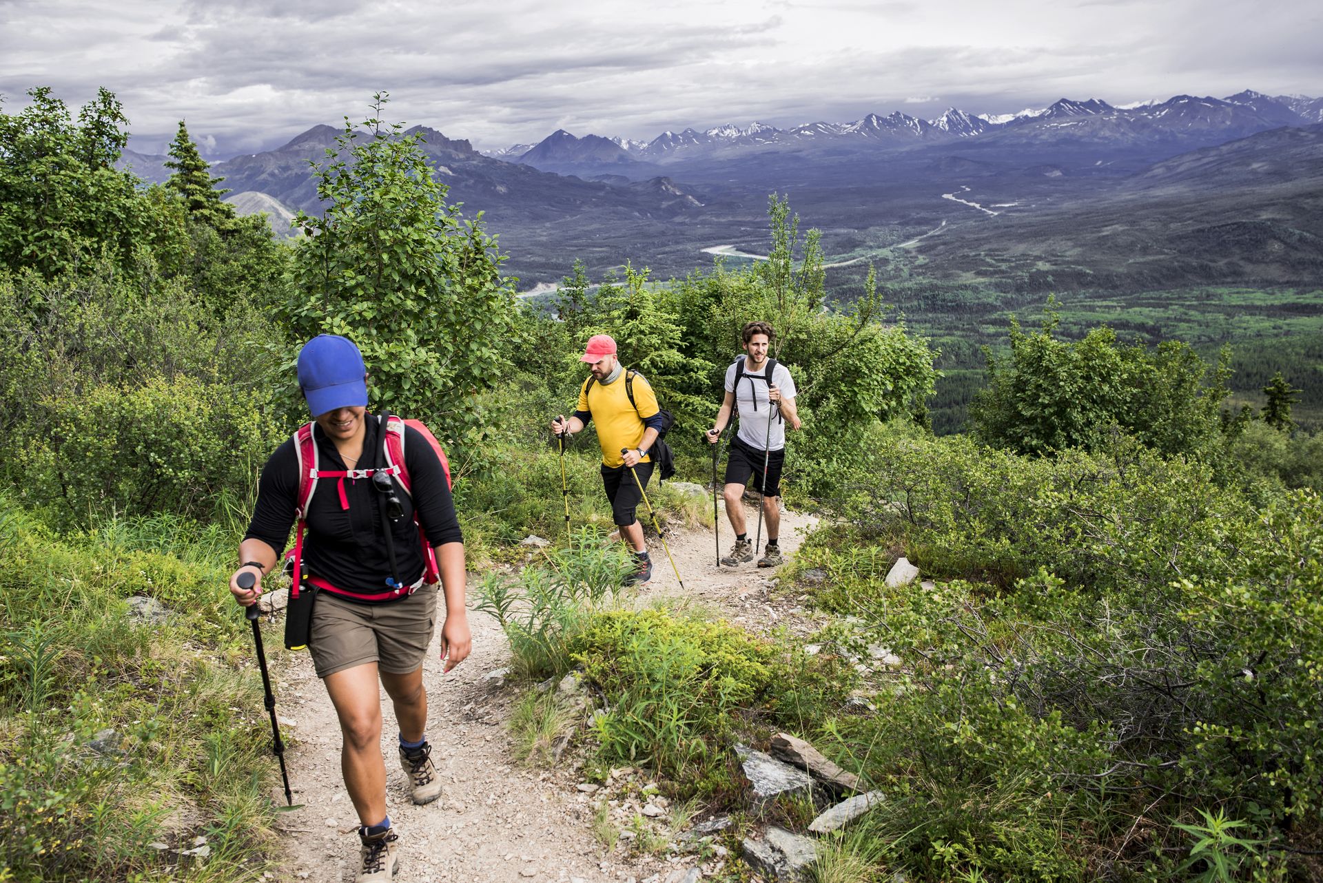A guide to visiting Denali, when to go and what to do | The Week