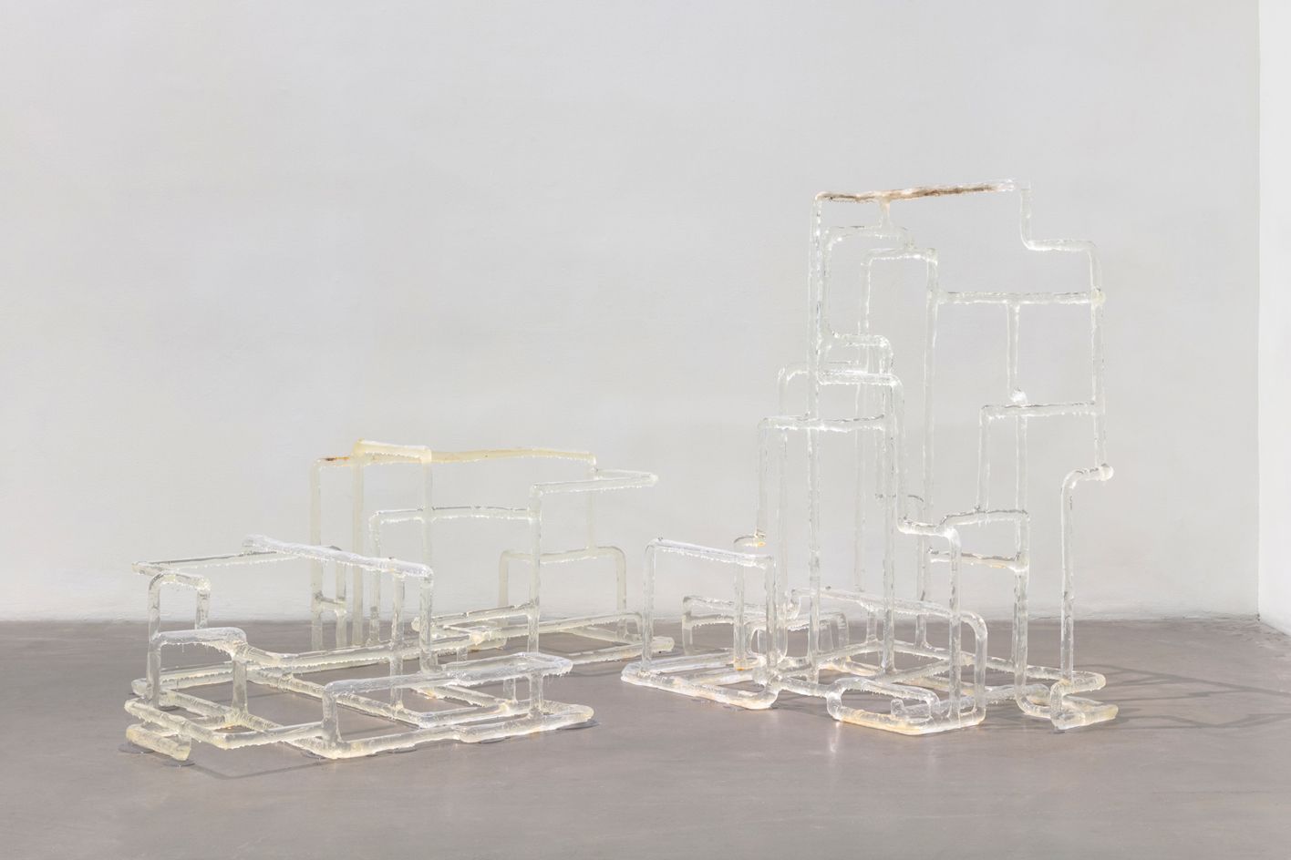 Jes Fan: the artist fusing biology, identity and creativity | Wallpaper