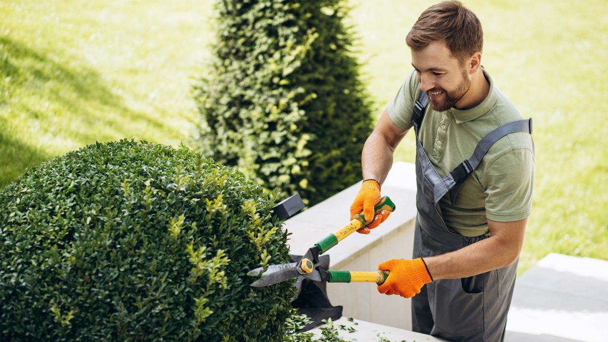 5 expert tips for shaping your hedge like a professional | Tom's Guide