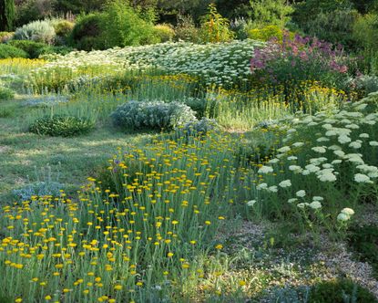 How to plan a dry garden: ideas for plants and landscaping | Homes and ...