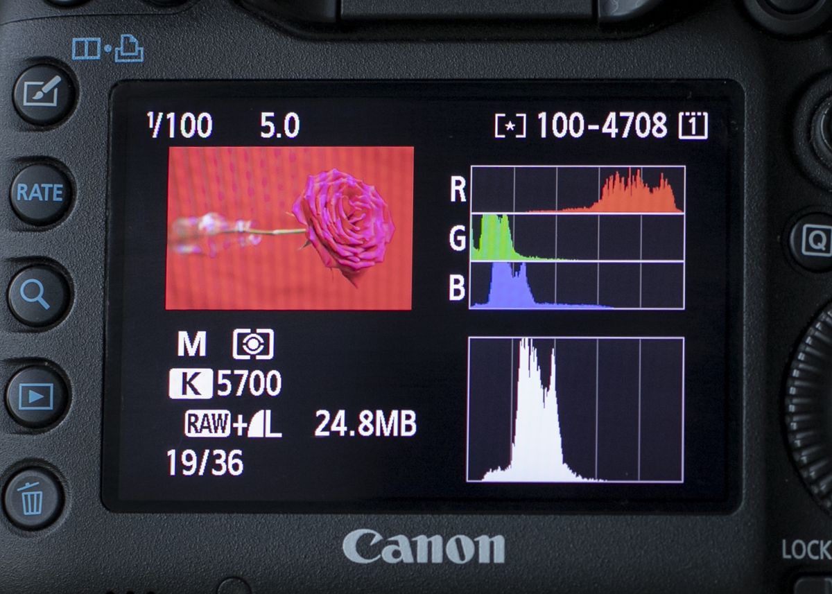RGB histogram pro tips | Digital Camera World