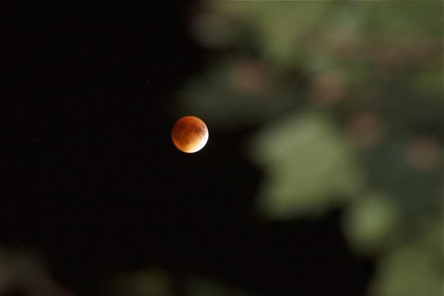 Amazing Photos of the Rare Supermoon Total Lunar Eclipse of 2015: Page ...