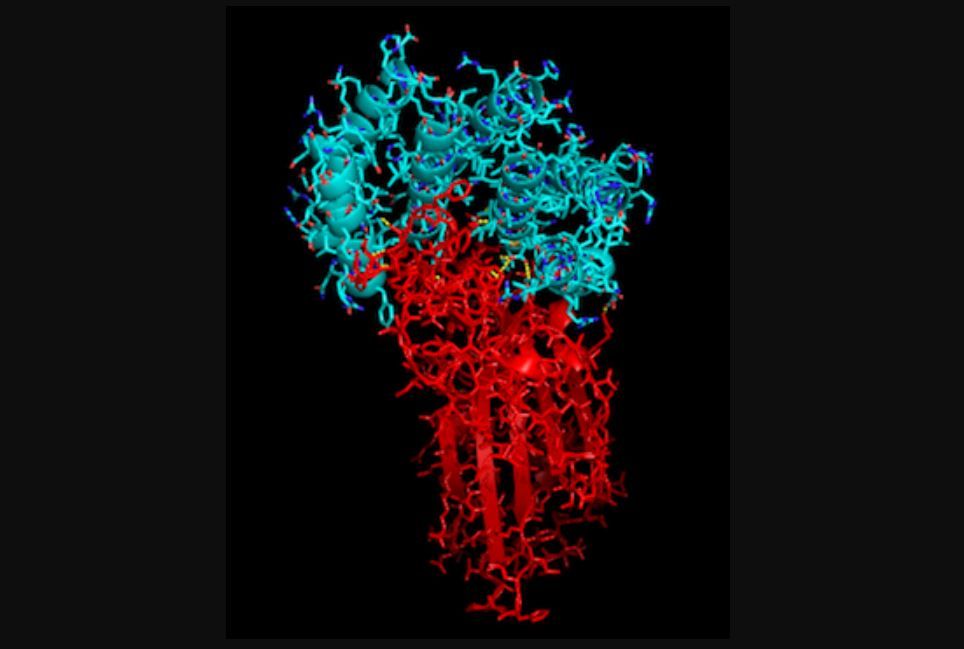 Join The Fight Against the Coronavirus on Your Smartphone or Raspberry ...