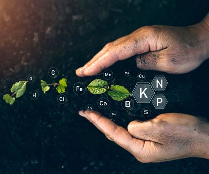 Plant fertilizer numbers: NPK ratios explained | Homes and Gardens