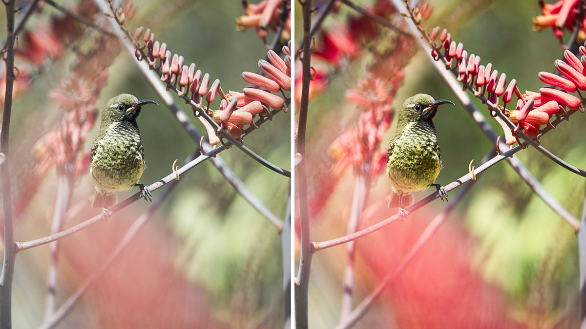 Experiment with LAB mode in Adobe Photoshop CC to enhance your colors ...