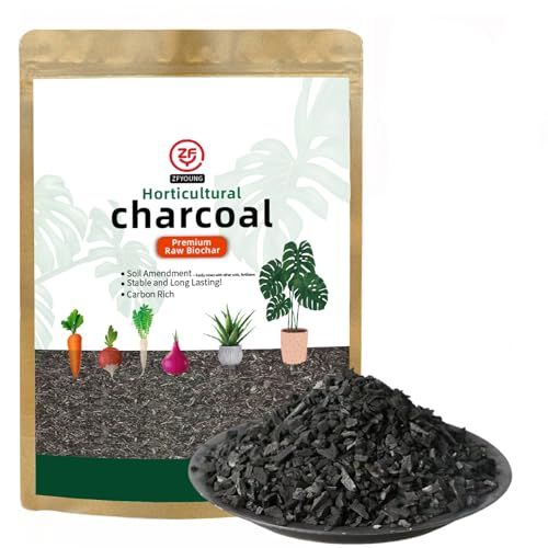 How to use biochar: planting advice and recommendations | Homes and Gardens