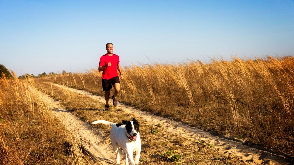 32 ways to workout with your pet | PetsRadar