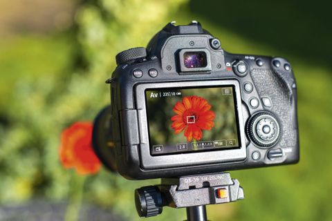 Photograph fantastic flowers at home with this cheap and simple camera ...