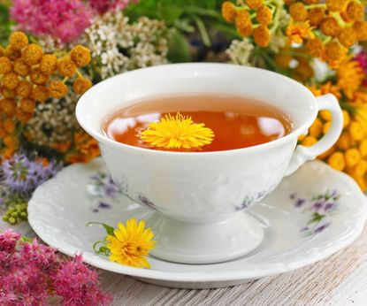 Flowers For Tea: Best Varieties Varieties That Taste As Good As They ...