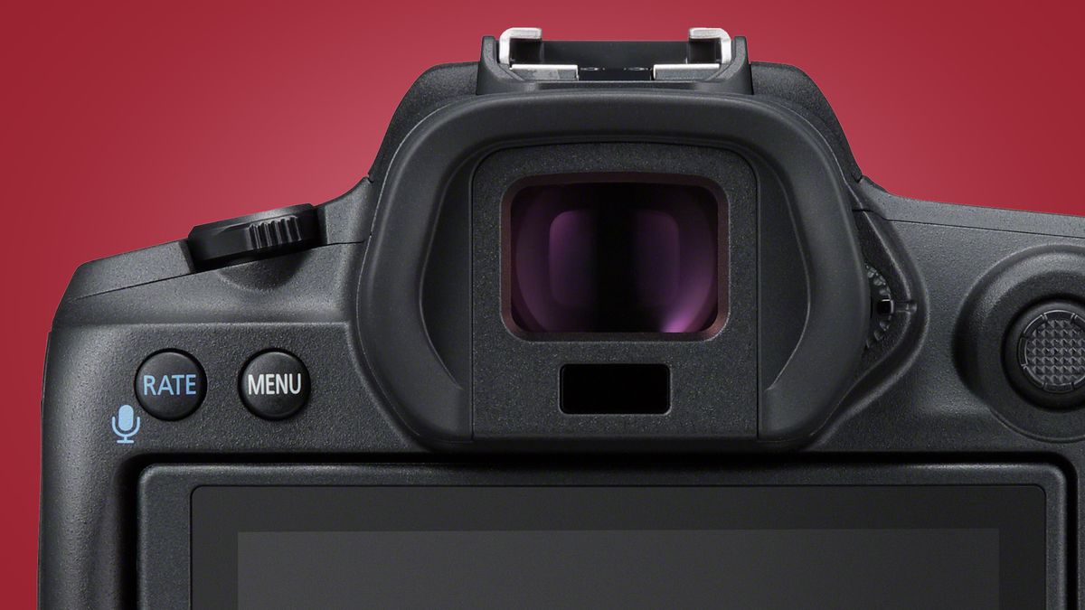 Canon EOS R5 vs EOS R6: 10 key differences you need to know | TechRadar