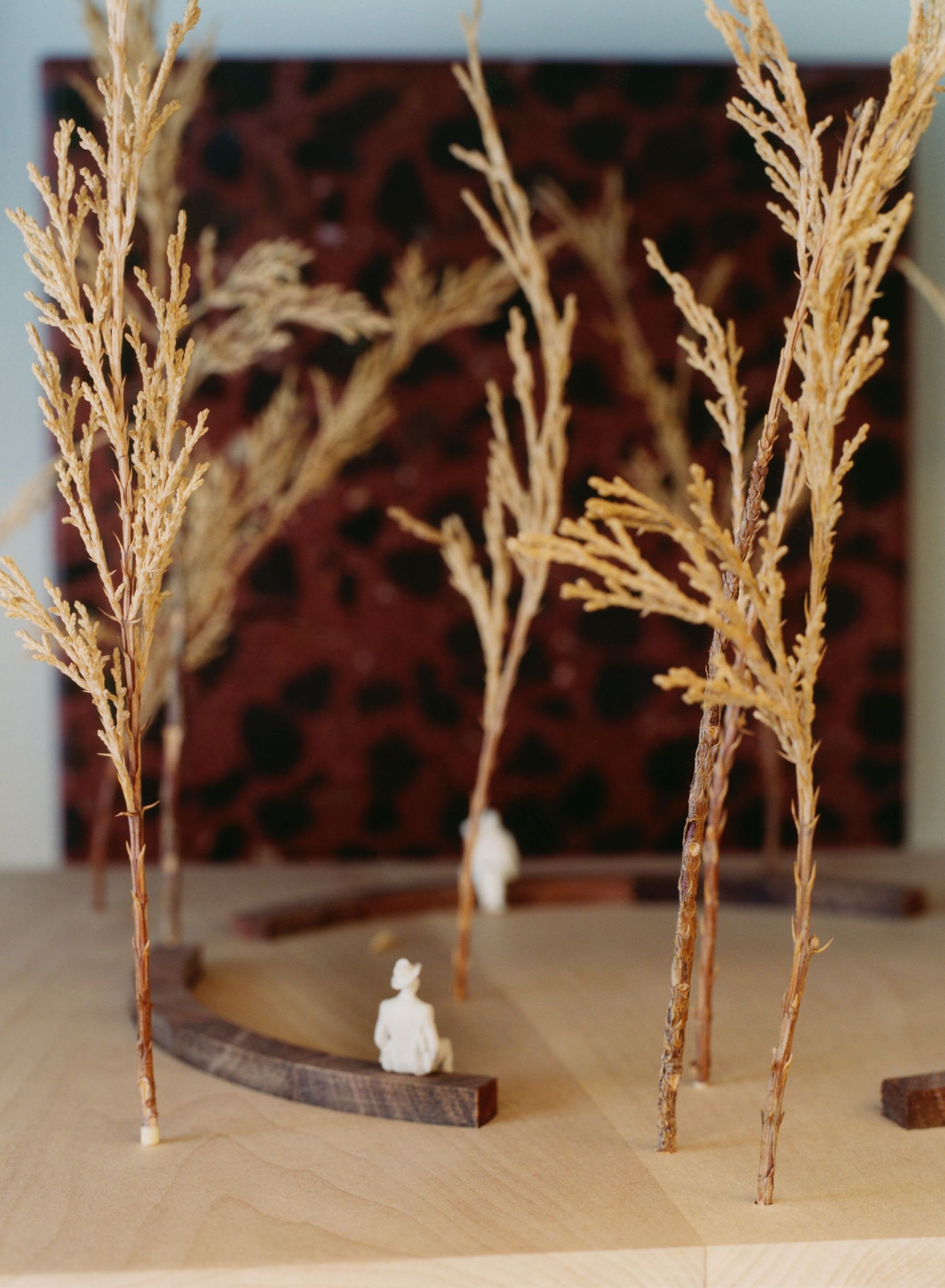 How Bas Smets is pioneering the landscape of the future | Wallpaper*