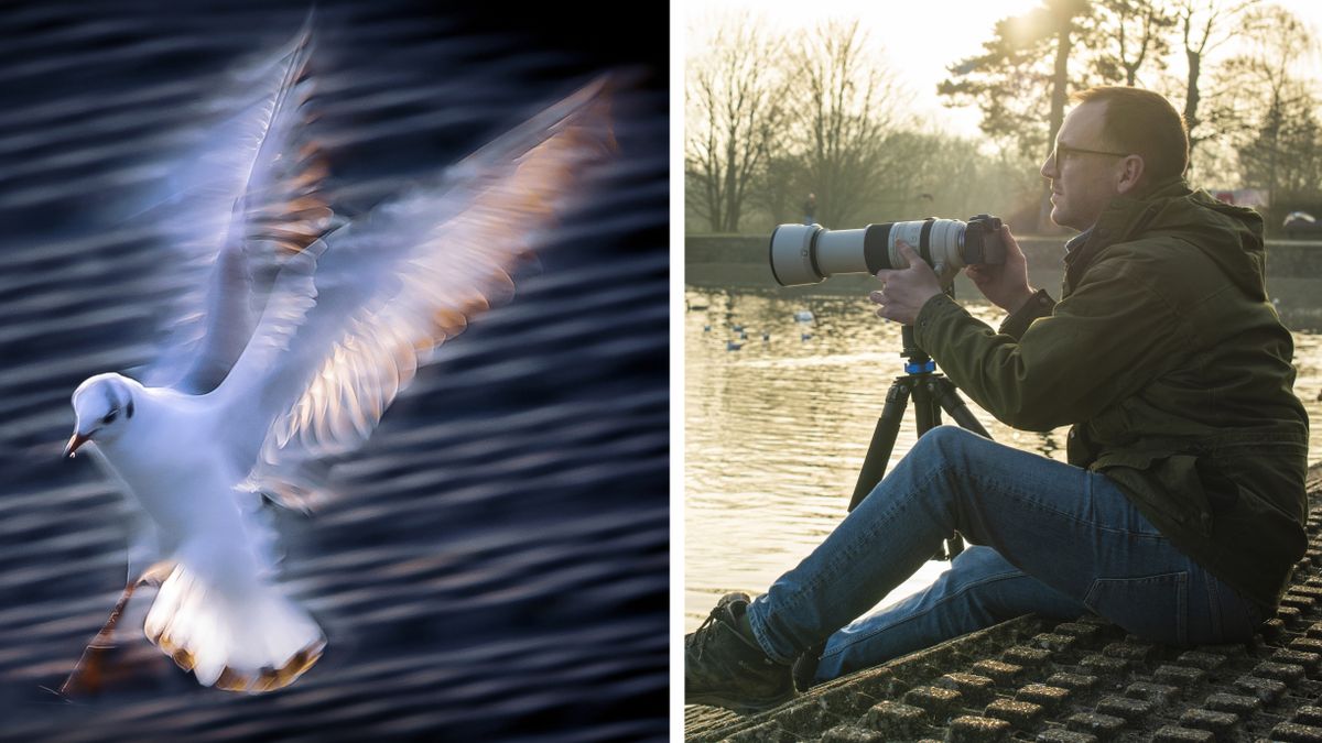 Use a slow shutter speed to inject movement into your wildlife ...