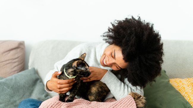 Why is my cat crying? Vet's guide to what it means and what to do ...