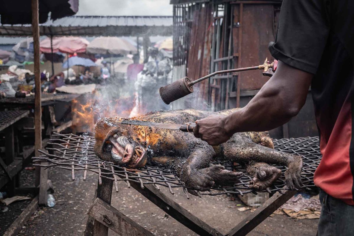 Nature Photographer Of The Year 2024 Winner Captures Holy Grail Of