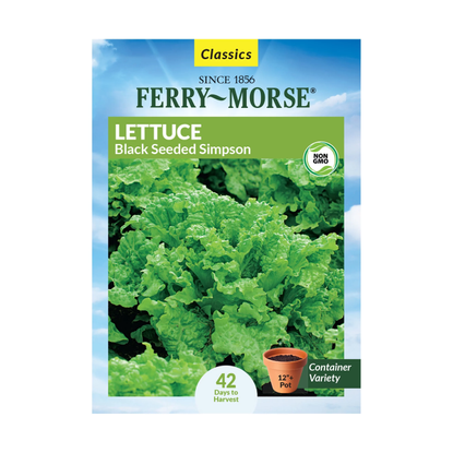 Pamela's Anderson's Raised Beds Nail the "Garden Girl" Trend | Livingetc