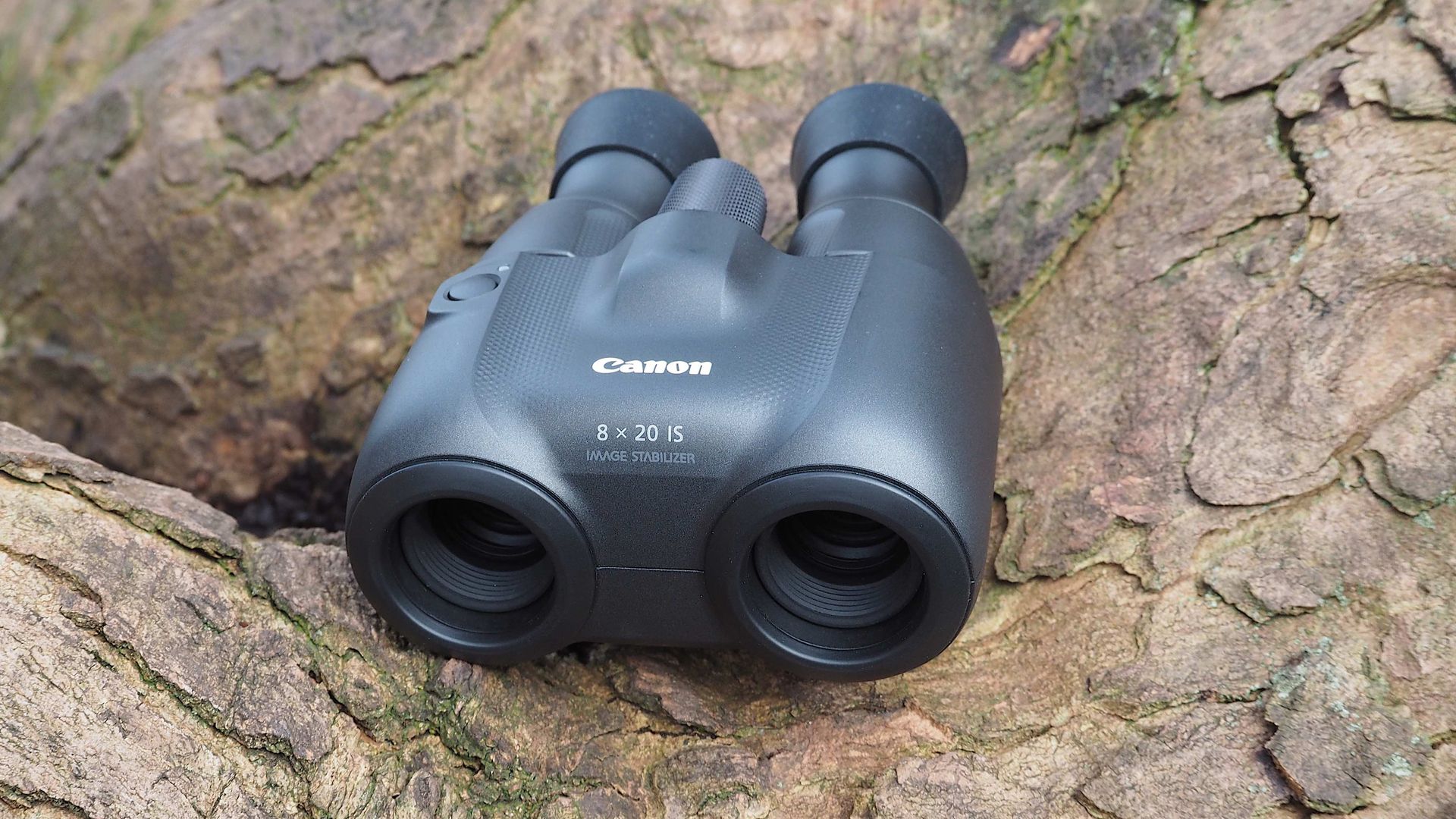 The best image-stabilized binoculars in 2025 | Digital Camera World
