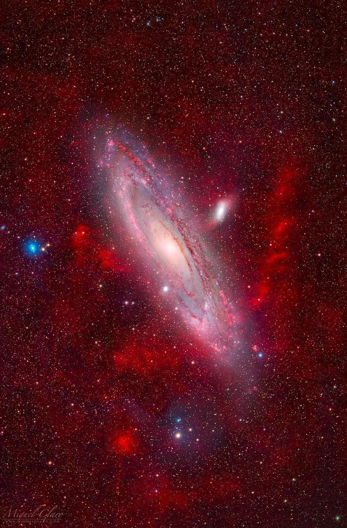 Gorgeous deep space photo captures the Andromeda Galaxy surrounded by ...