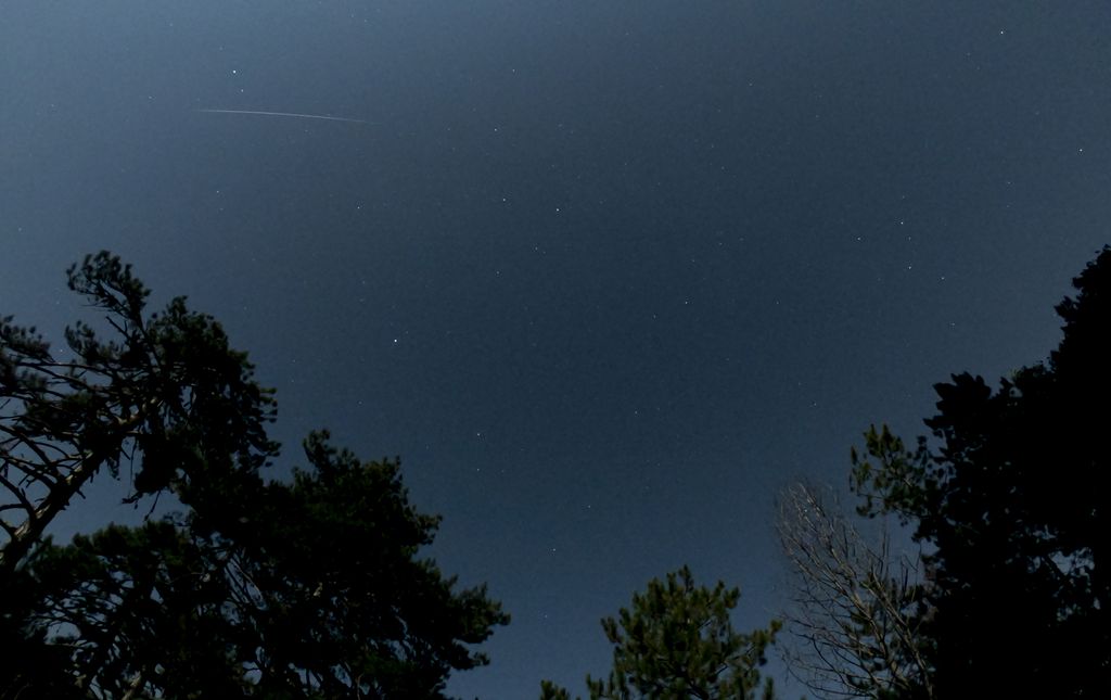 Perseid meteor shower 2022 thrills stargazers despite bright moon | Space